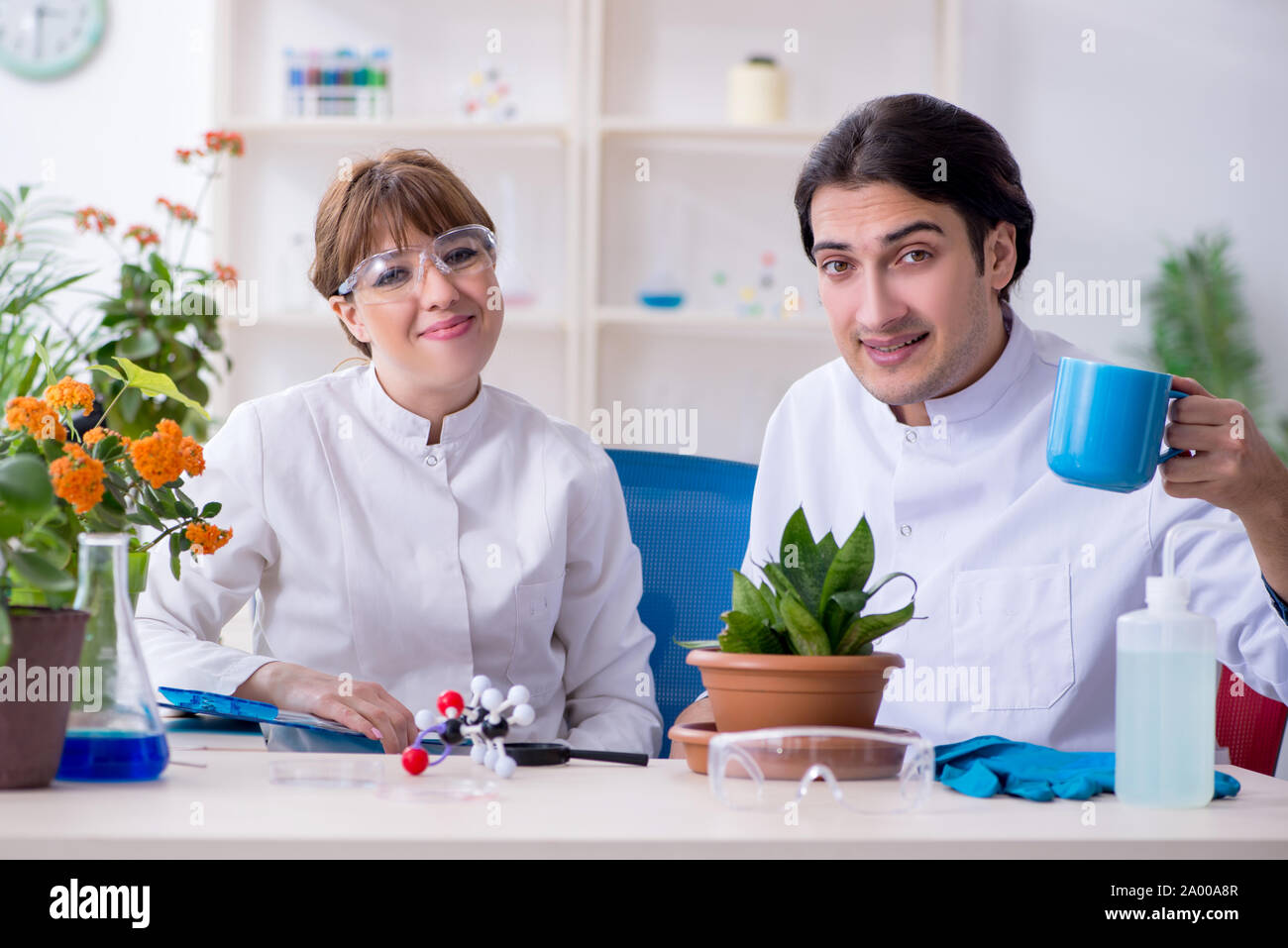 The two young botanist working in the lab Stock Photo - Alamy