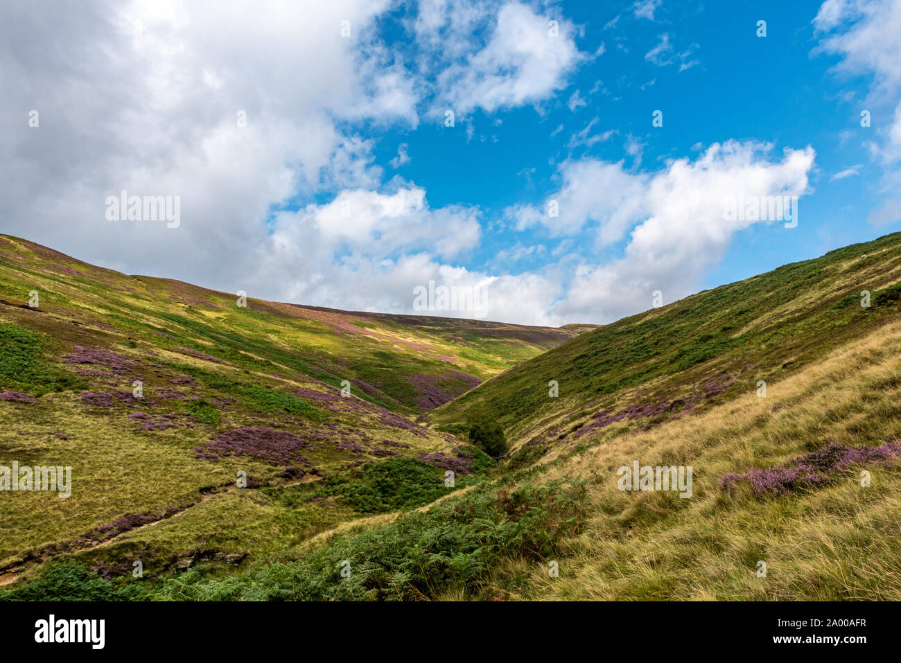 The Peak District’s purple, green and yellow hills Stock Photo - Alamy