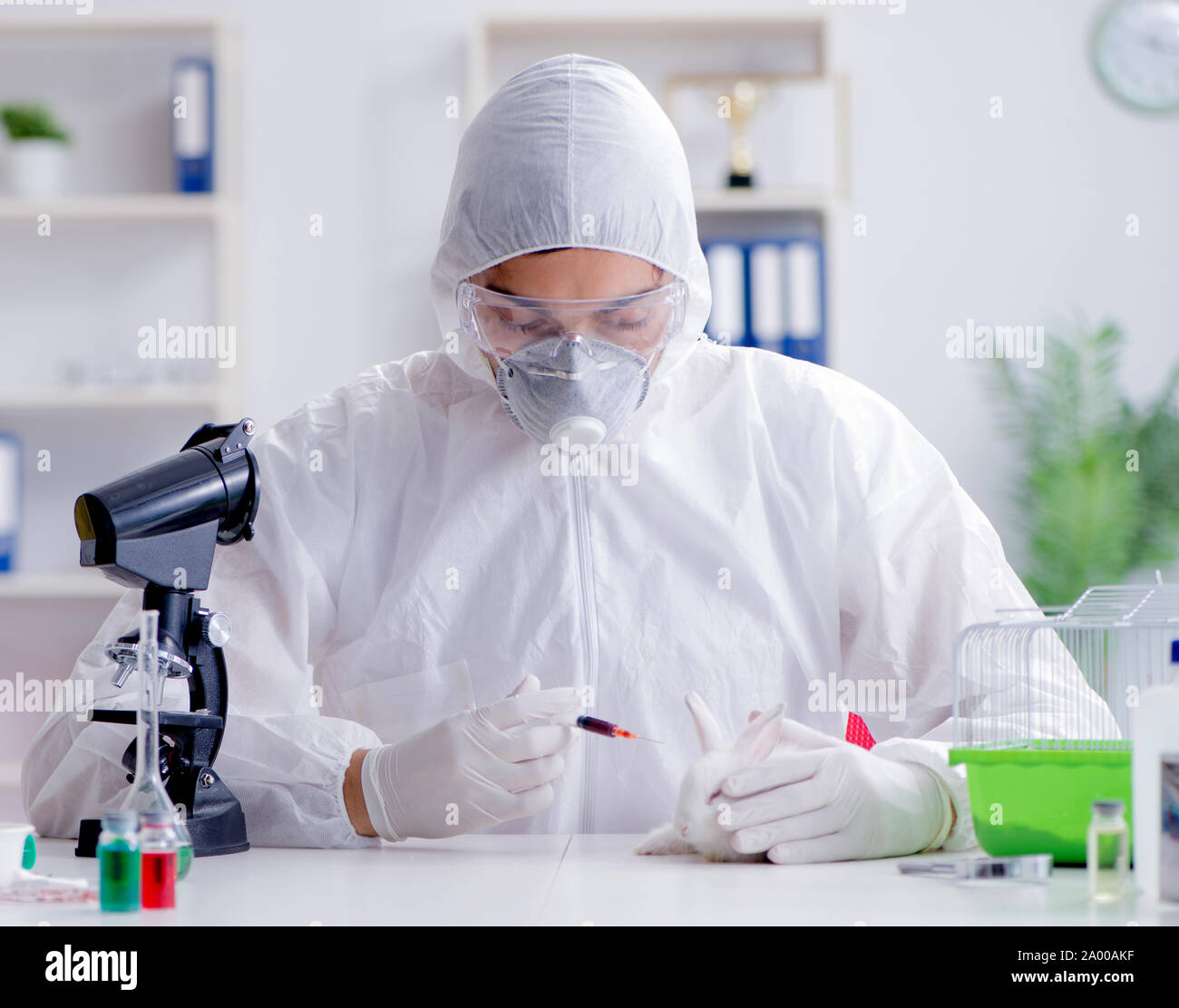 The scientist doing animal experiment in lab with rabbit Stock Photo ...