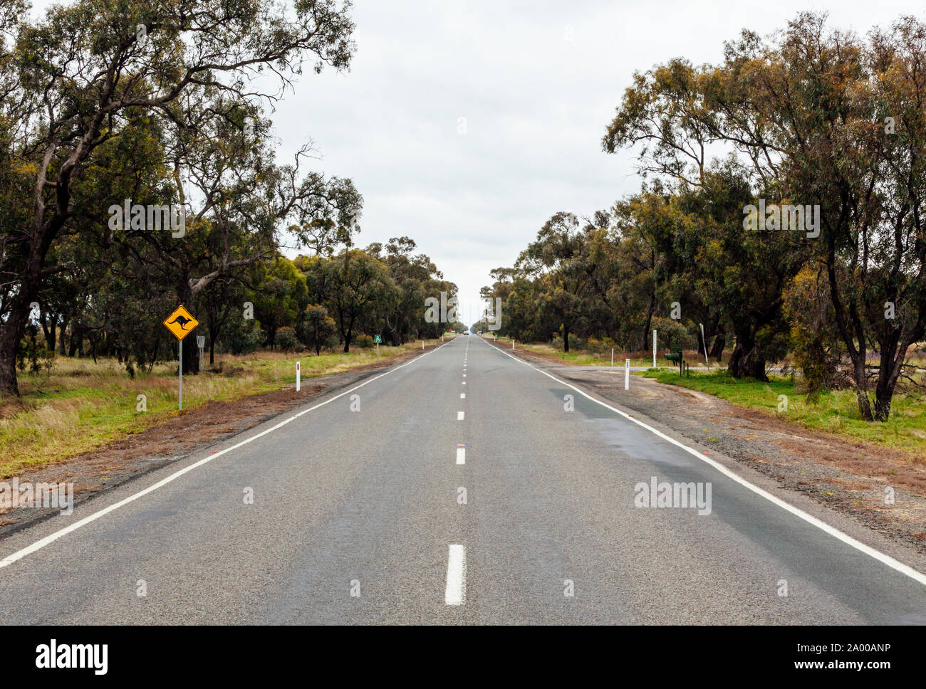 Very straight road in rural Victoria in Australia, with a sign warning ...