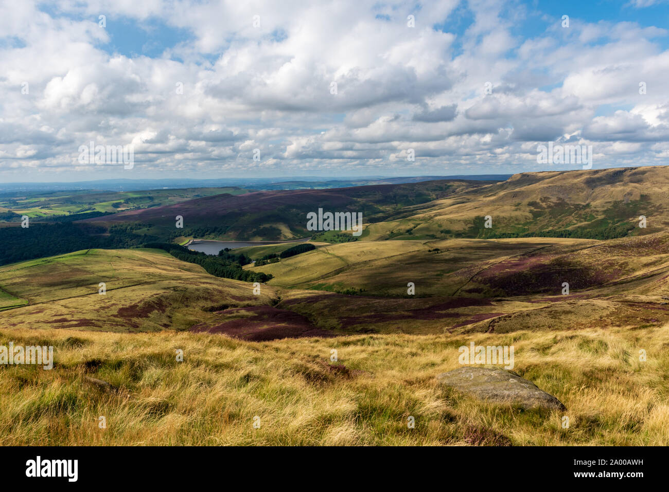 Yellow and purple hills Stock Photo - Alamy