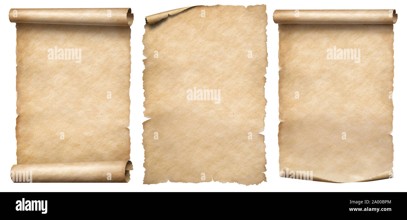 Three vertical paper scrolls or manuscripts set isolated Stock Photo ...