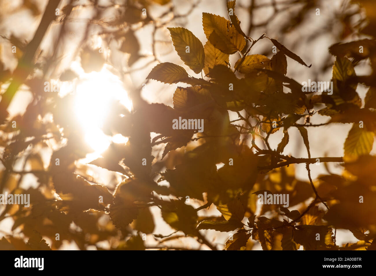 Fall through the gaps hi-res stock photography and images - Alamy