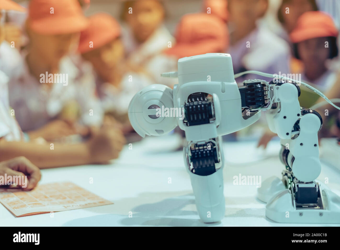 Students are testing robot control in an elementary school laboratory ...