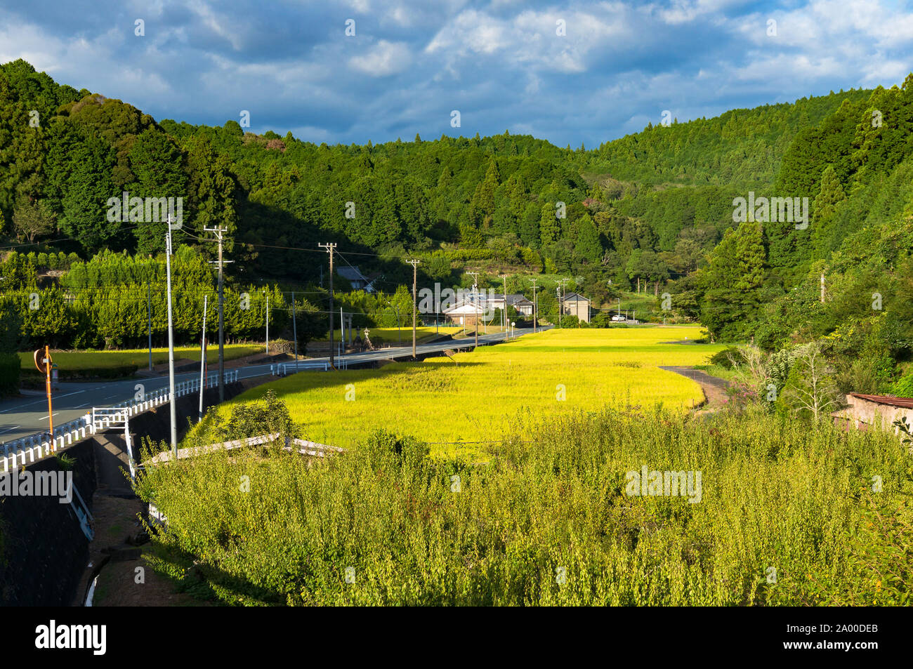 Agriculture japan japanese landscape hi-res stock photography and ...