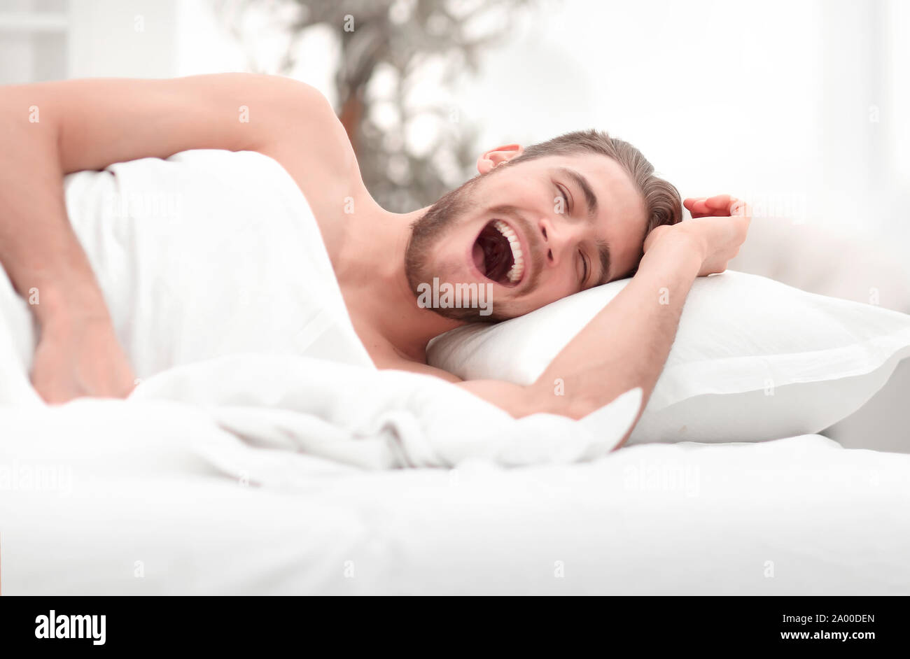 business man resting in a comfortable hotel room Stock Photo - Alamy