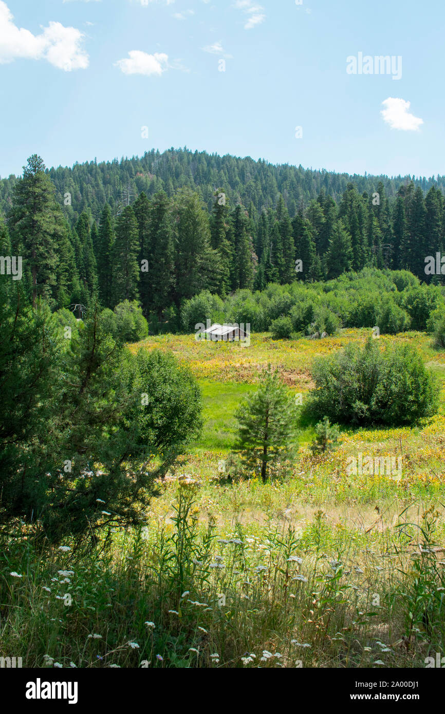 view from hiking trail in Ochoco National Forest Stock Photo - Alamy