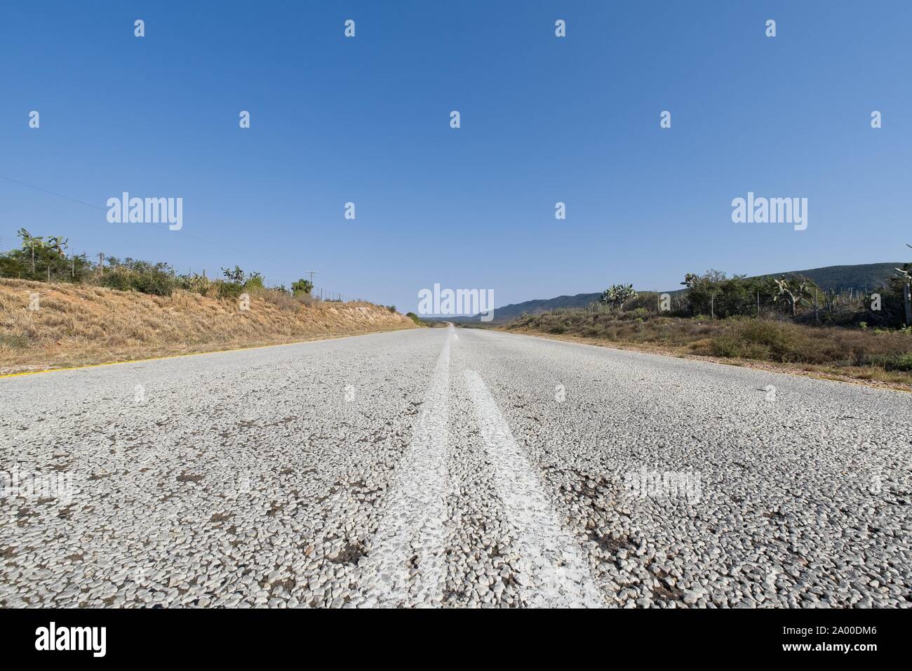 Low angle view of tar road stretching into the country side Stock Photo ...
