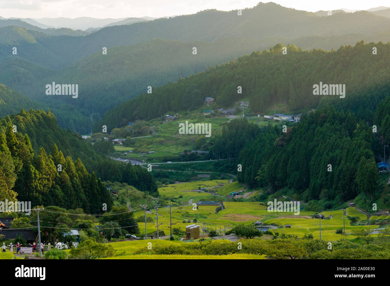 Sunset view over Japanese countryside with mountains and rice fields ...