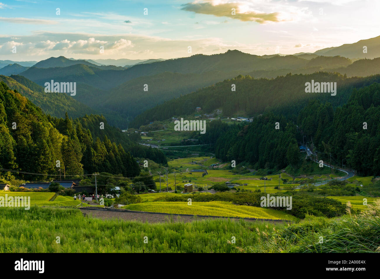 Japanese rice field hi-res stock photography and images - Alamy
