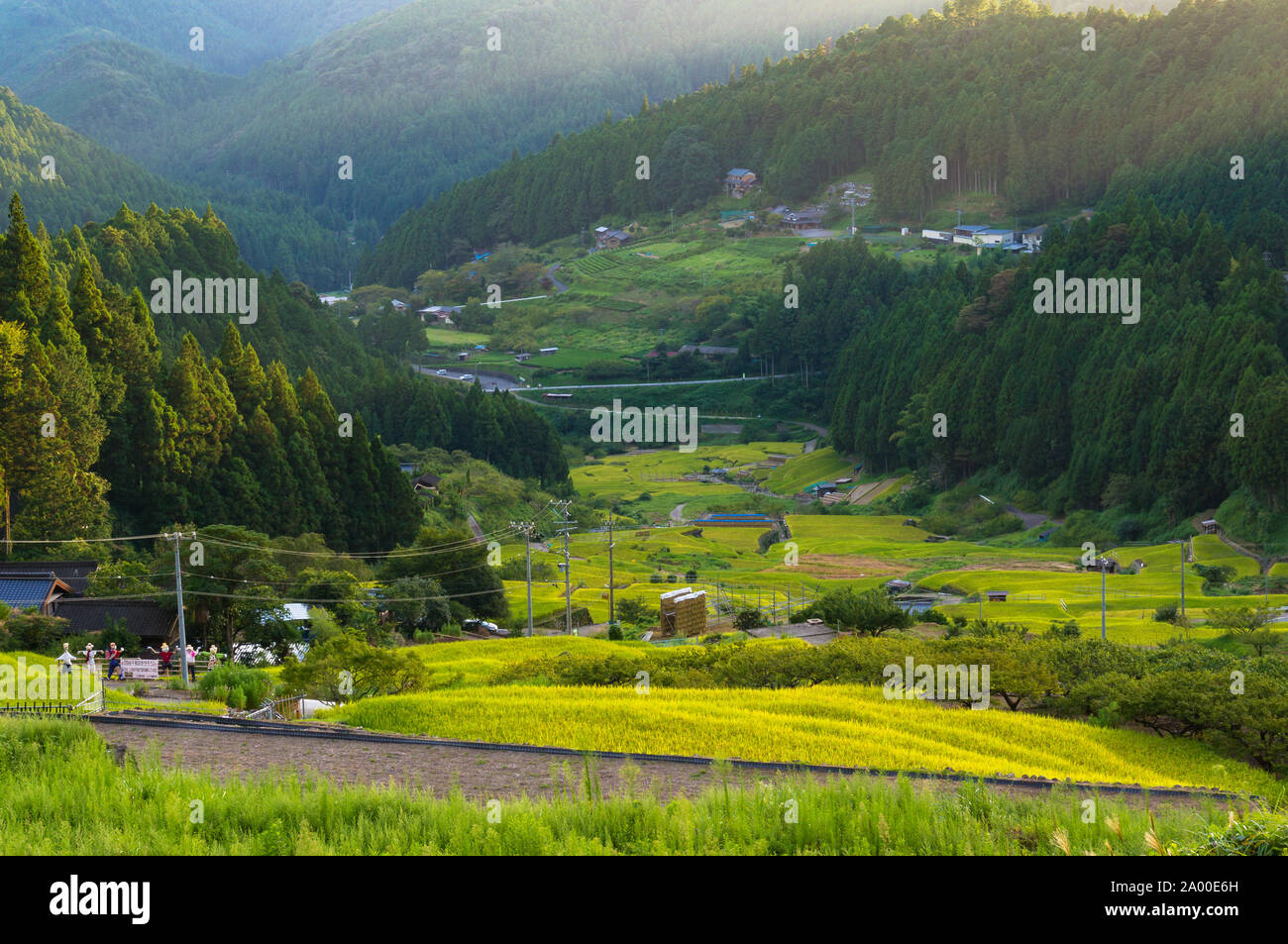 Japanese rural landscape hi-res stock photography and images - Alamy