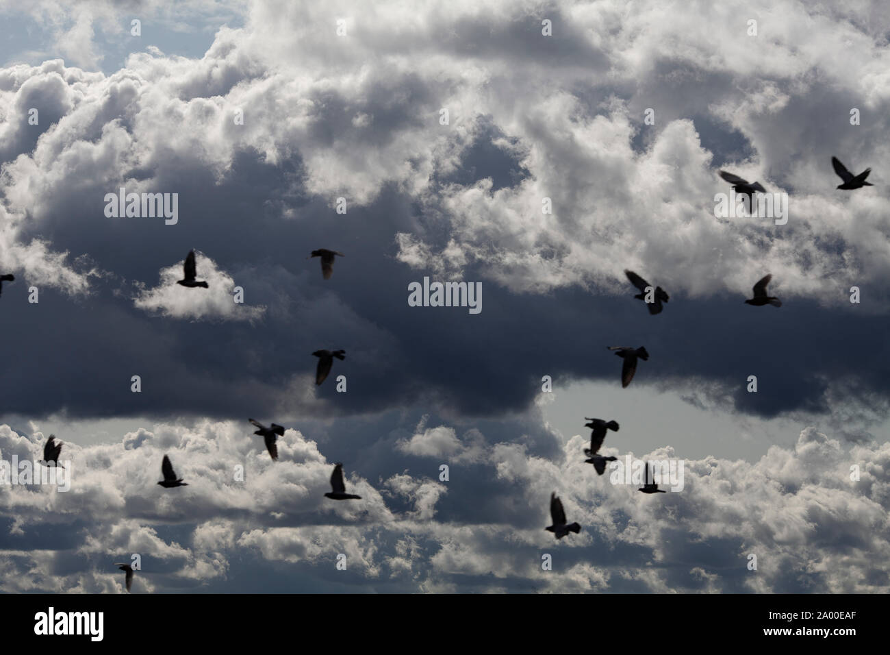 Dramatic cumulus clouds in rays hi-res stock photography and images - Alamy