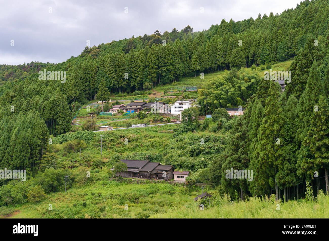 Japanese rural farm on mountain slopes. Agriculture rural scene Stock ...