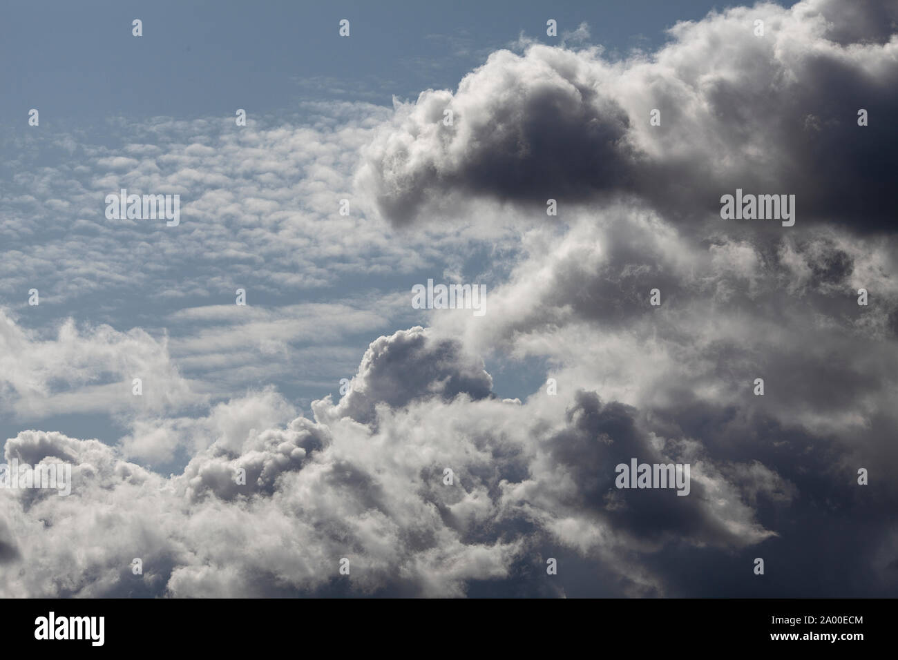 Dramatic light effect hi-res stock photography and images - Alamy