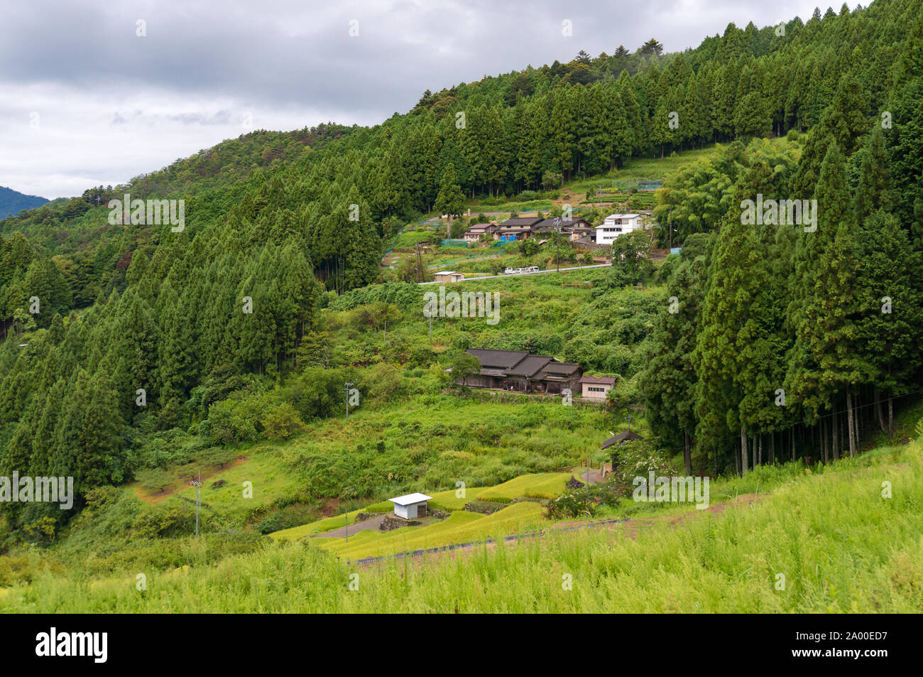Japanese rural farm on mountain slopes. Agriculture rural scene with ...