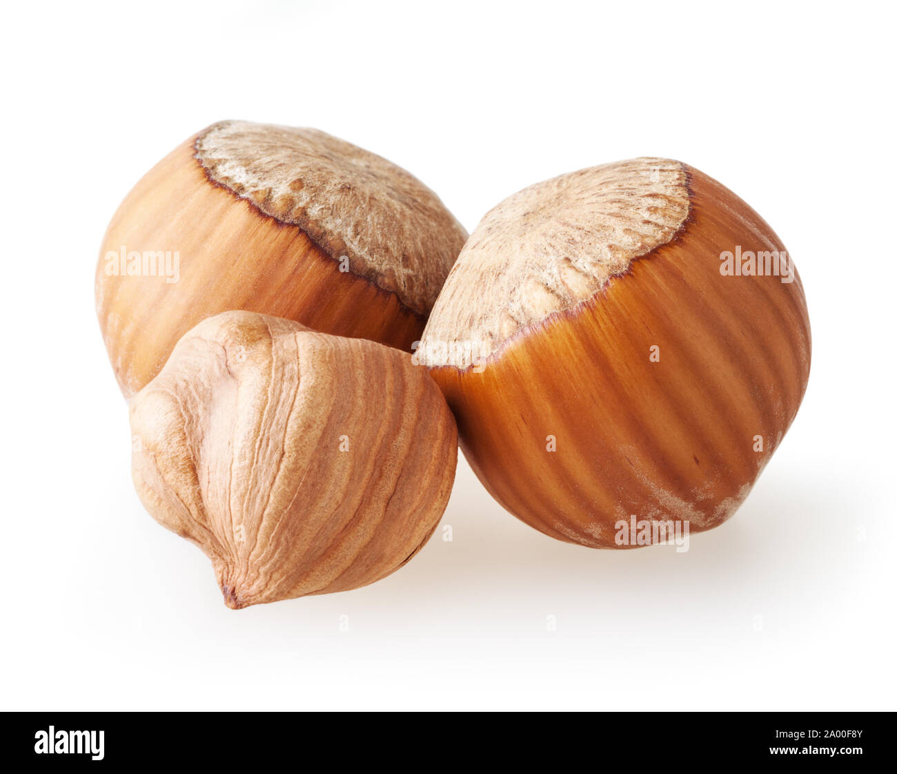 Hazelnuts isolated on white background with clipping path Stock Photo ...