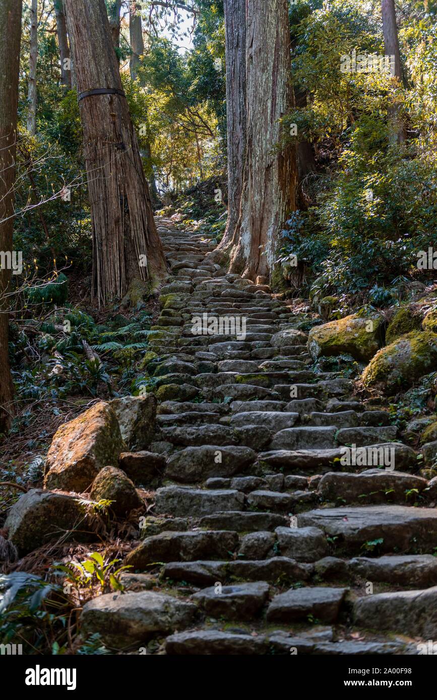 Old stony path, pilgrim path Kumano Kodo, Nachisan, Wakayama, Japan ...