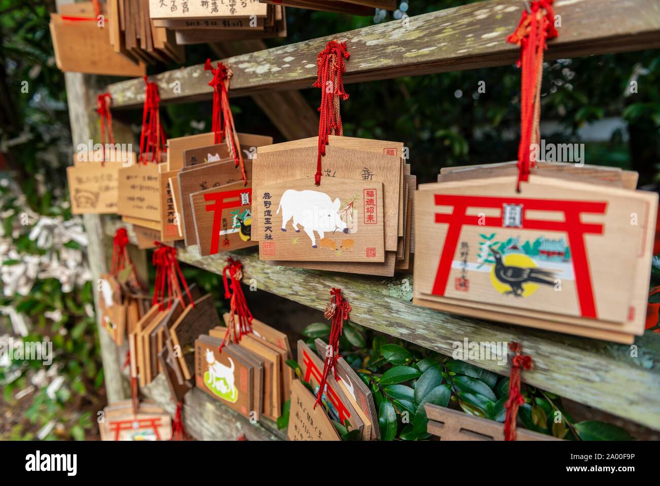 Written wishes to deities on small wooden boards, wish boards, Ema ...