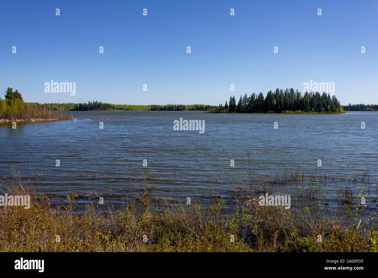 Island lake alberta hi-res stock photography and images - Alamy