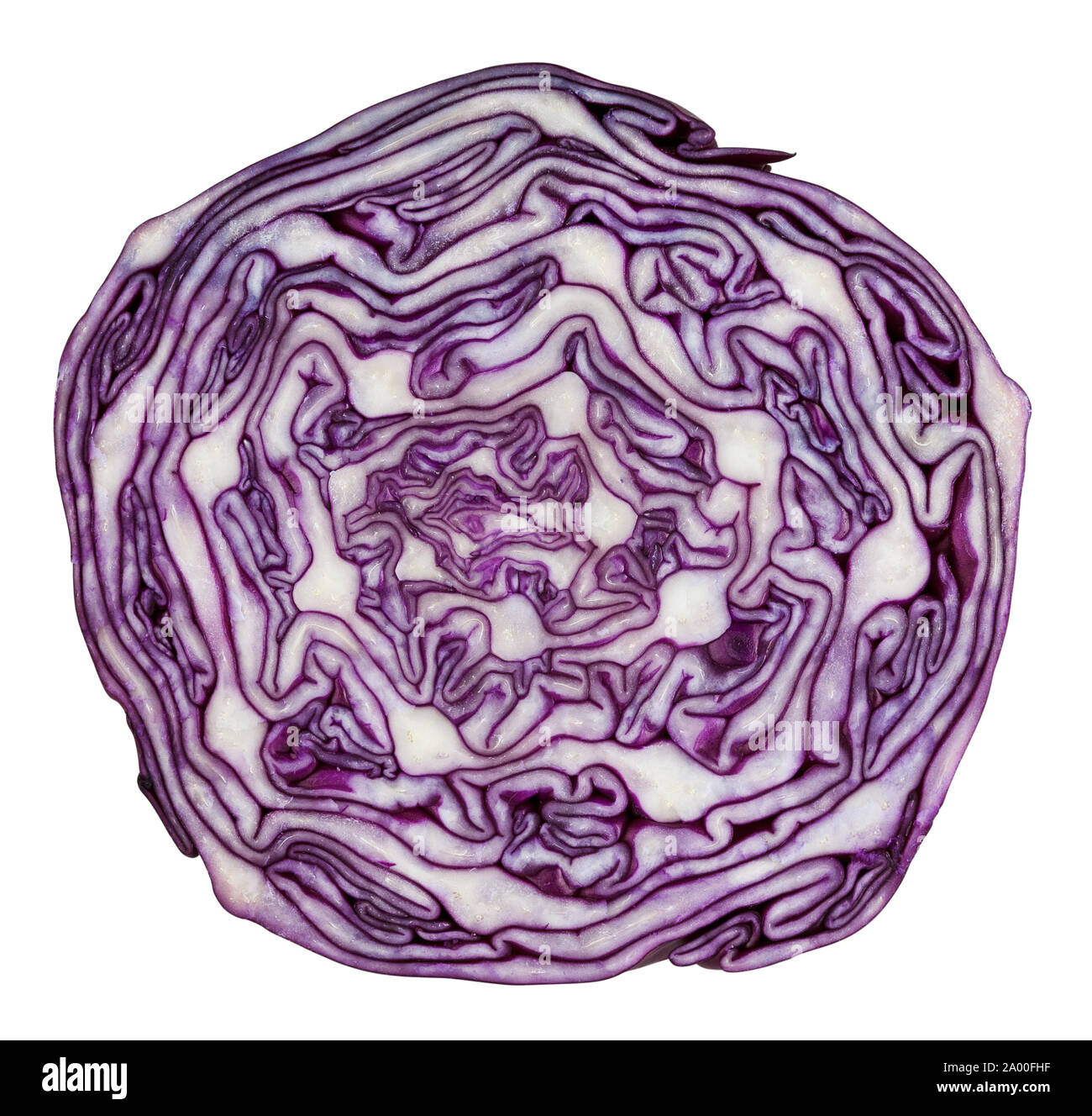 Red cabbage isolated on white background with clipping path Stock Photo ...