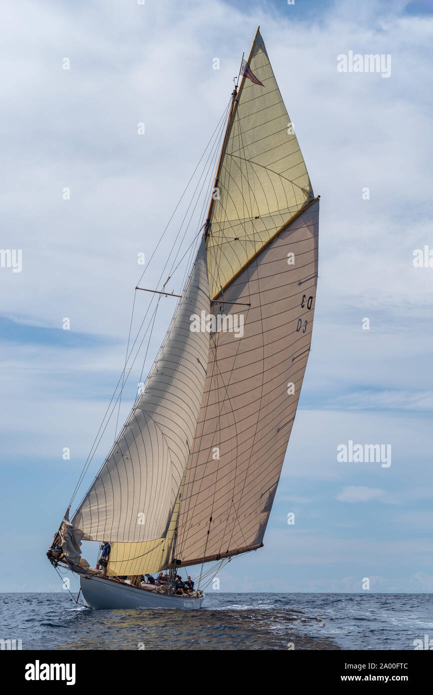 Tuiga sailboat, flagship of the Monaco Yacht Club, during racing in ...