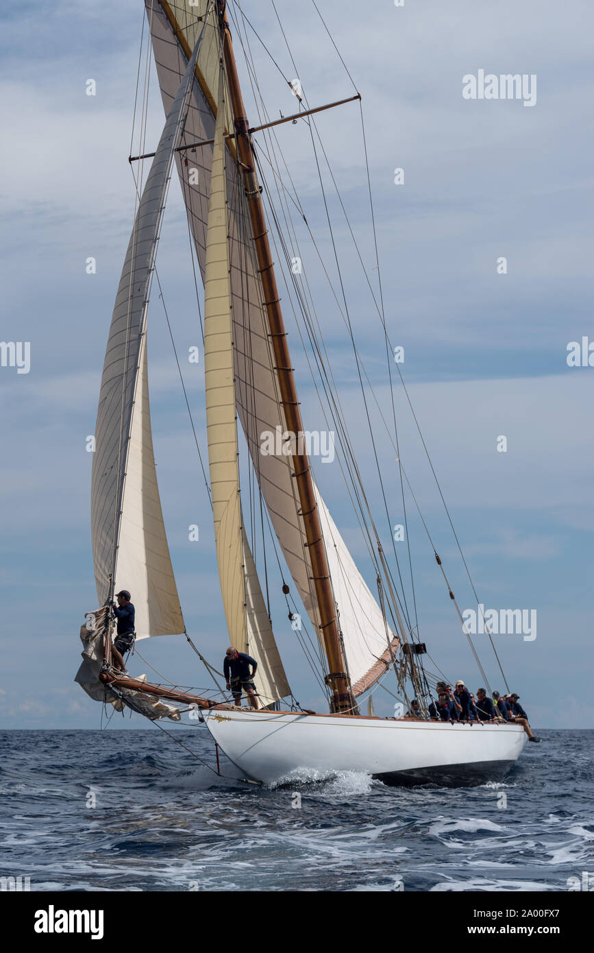 Tuiga sailboat, flagship of the Monaco Yacht Club, during racing in ...