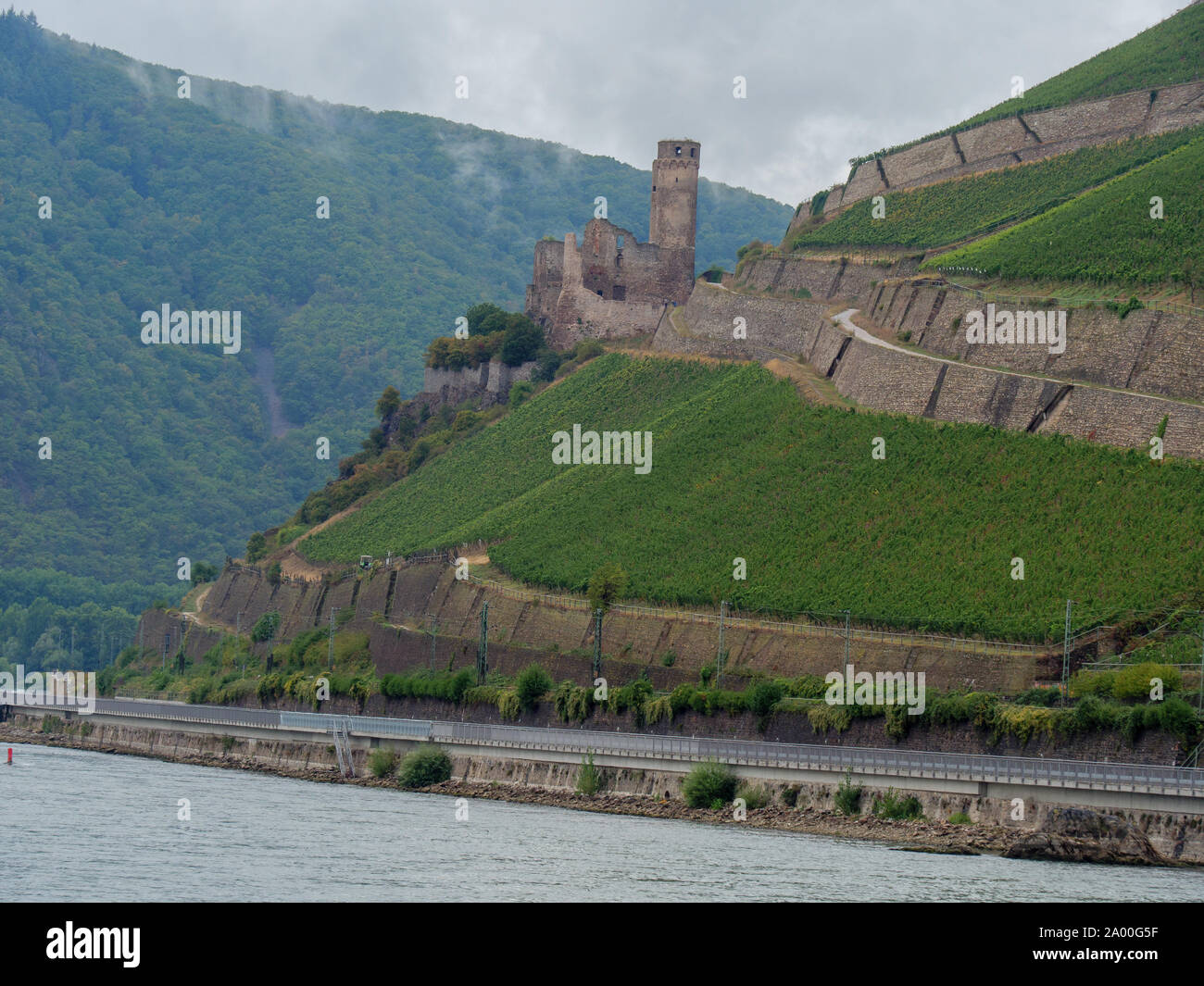 the romantic river rhine Stock Photo - Alamy