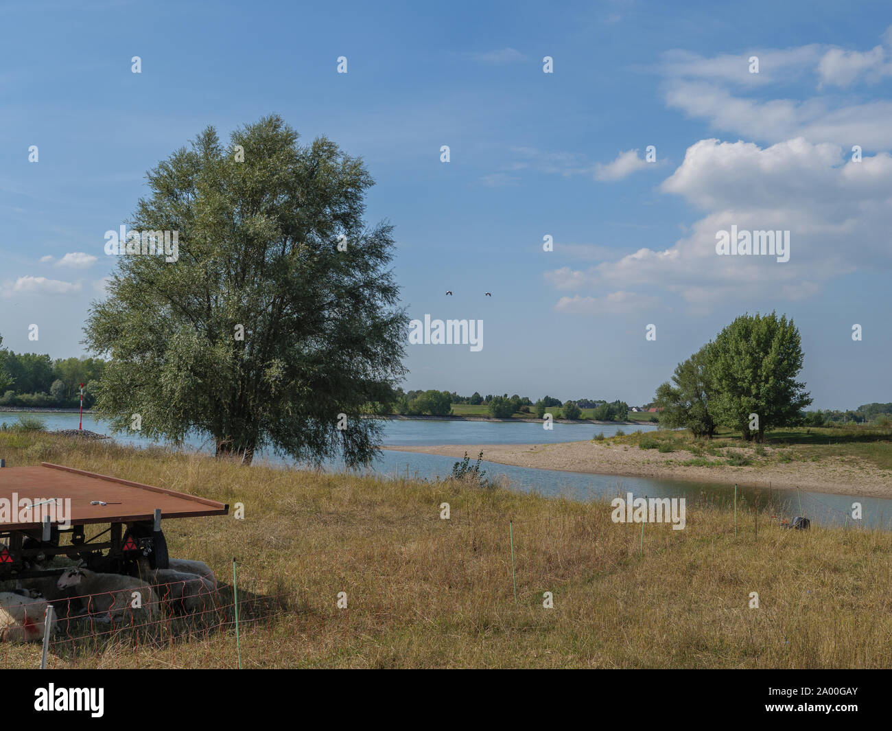 at the lower rhine in germany Stock Photo - Alamy