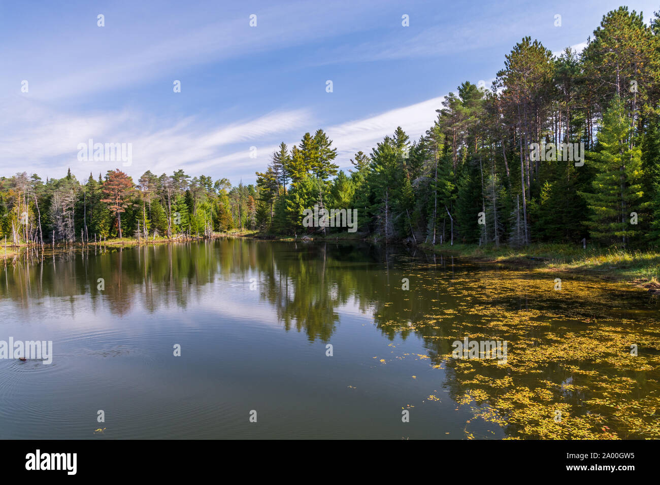 Ritchie falls conservation area minden hills haliburton ontario canada ...