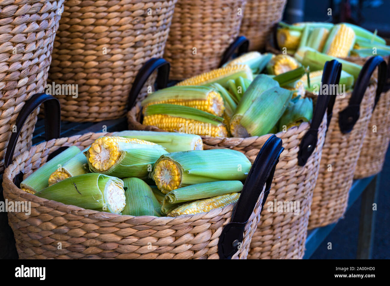 Close up of sweet corn in woven straw rustic baskets. Sunday farmers ...