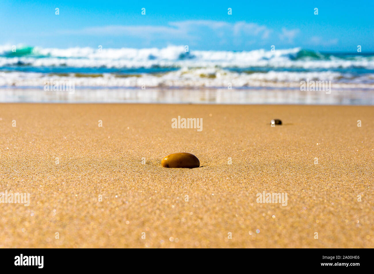 Shiny pebble on sand beach. Summer background with distant ocean ...