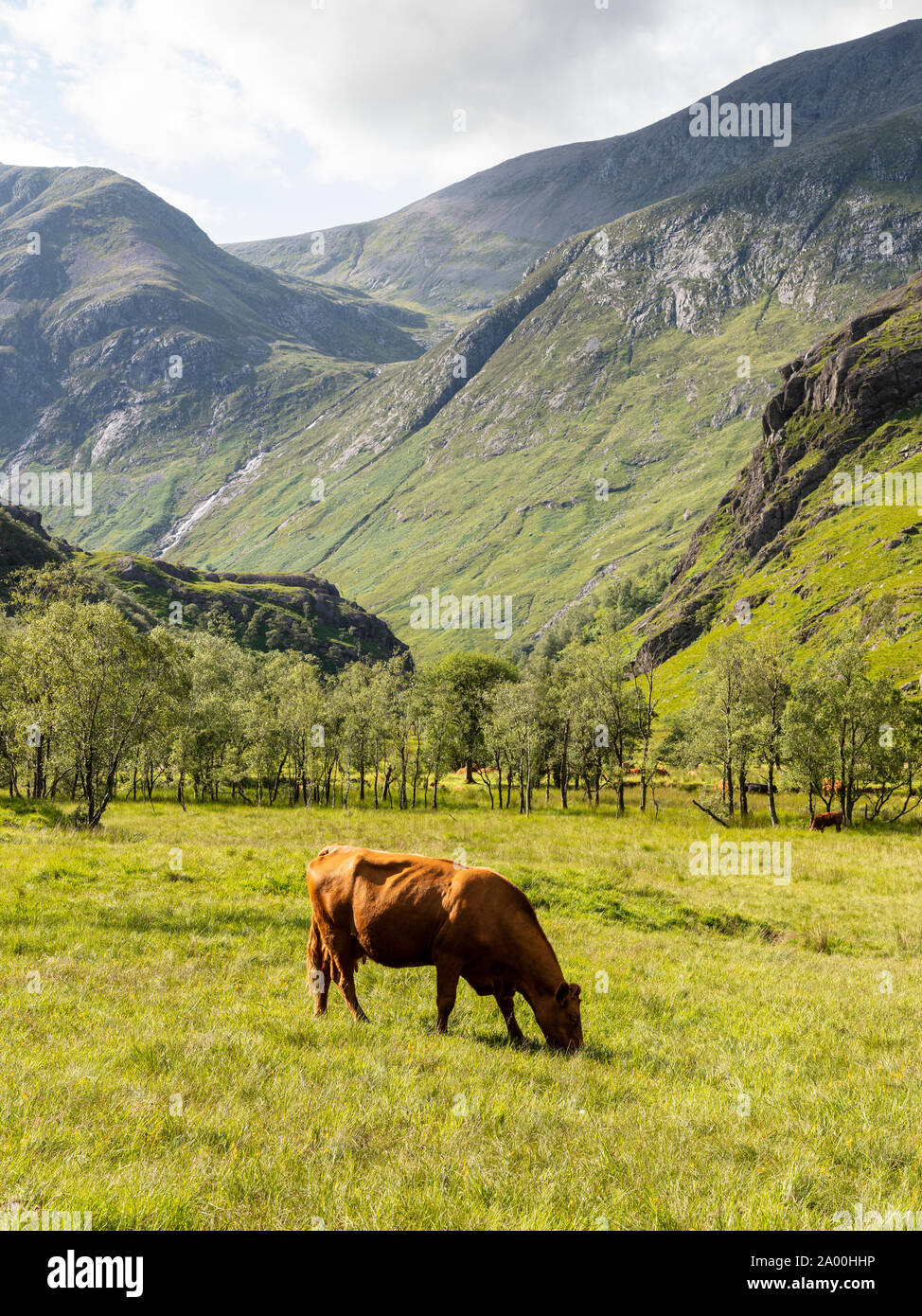 Steall Waterfall, Iconic 120-m. tiered waterfall, 2nd highest in ...