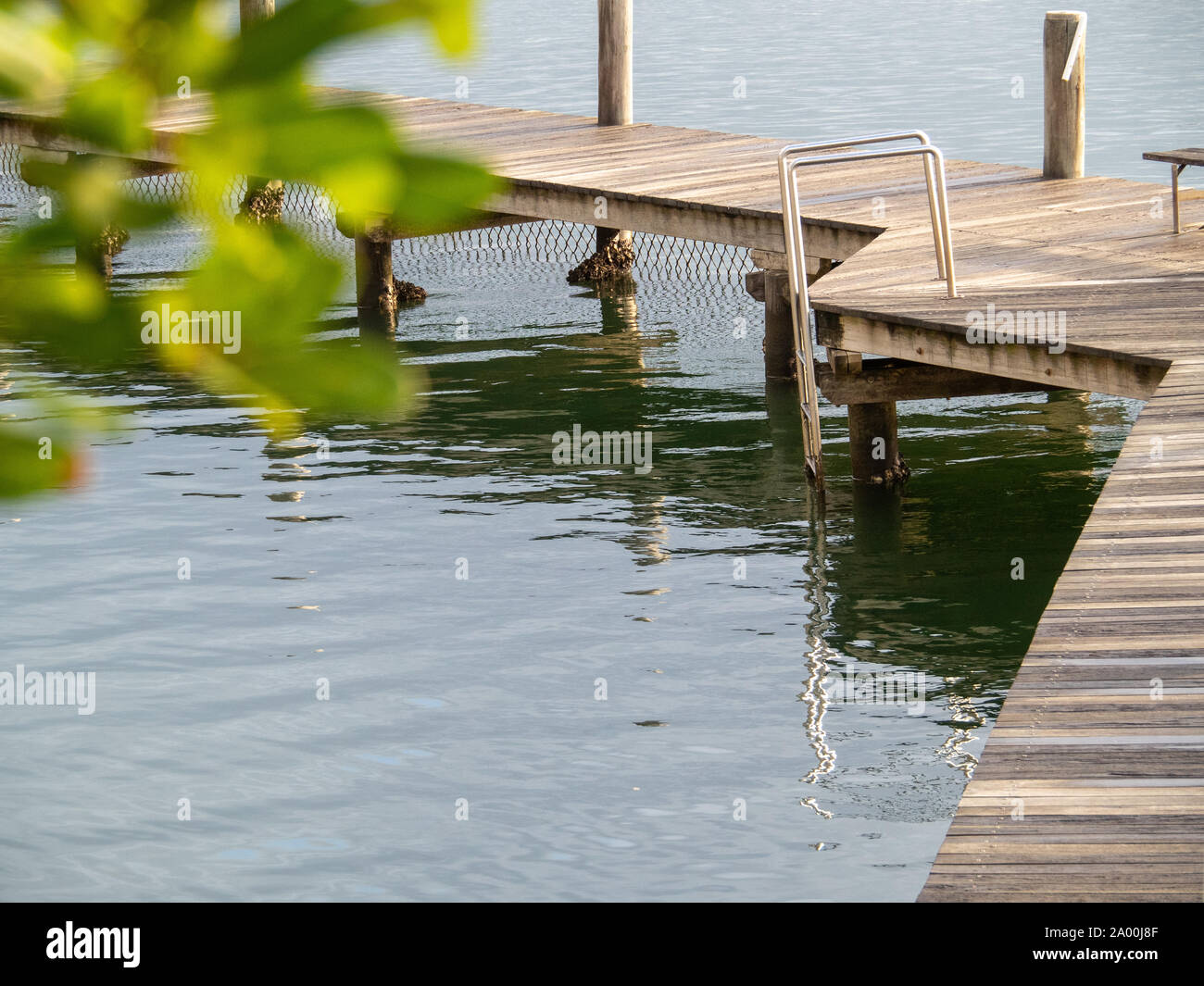 Wooden Path Over Water High Resolution Stock Photography and Images - Alamy