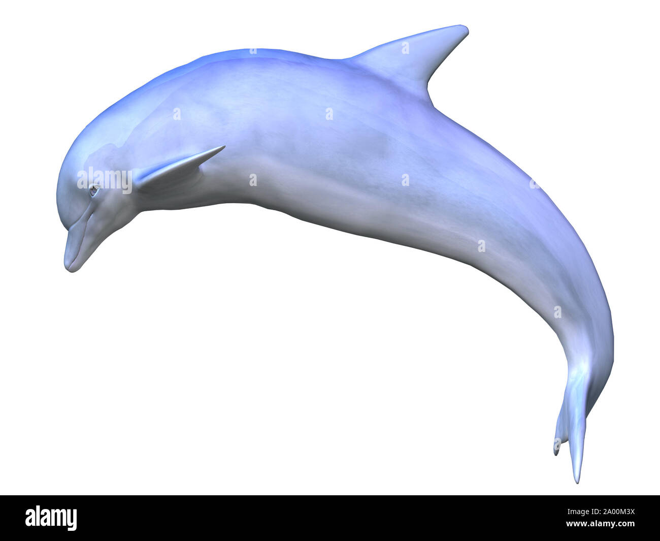 Digital render of a swimming dolphin on white background Stock Photo ...