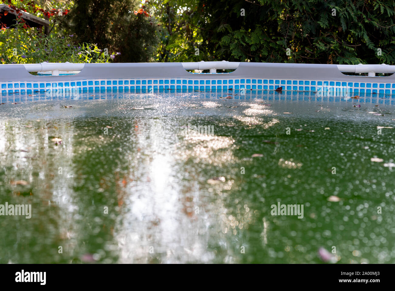 Dirty Swimming Pool High Resolution Stock Photography and Images - Alamy