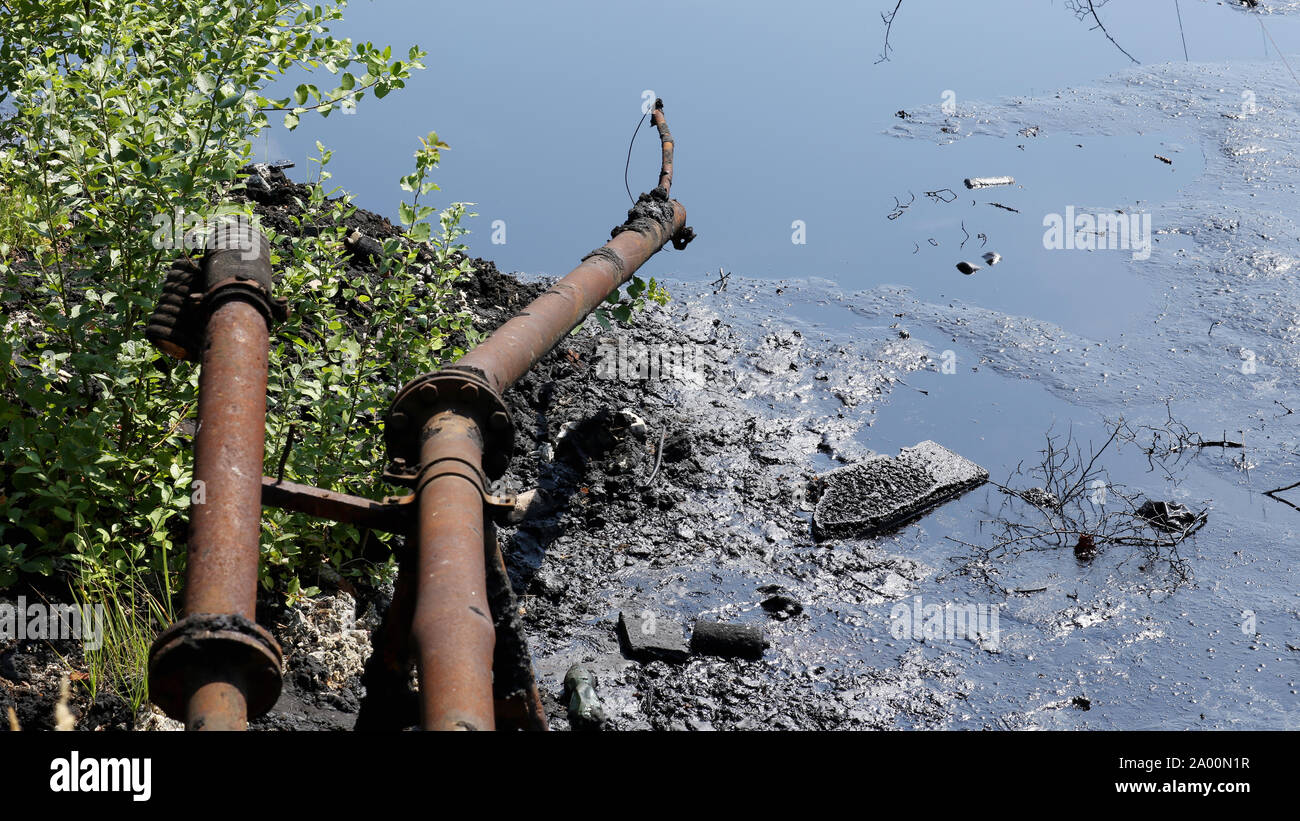 Former dump toxic waste, effects nature from contaminated soil and ...