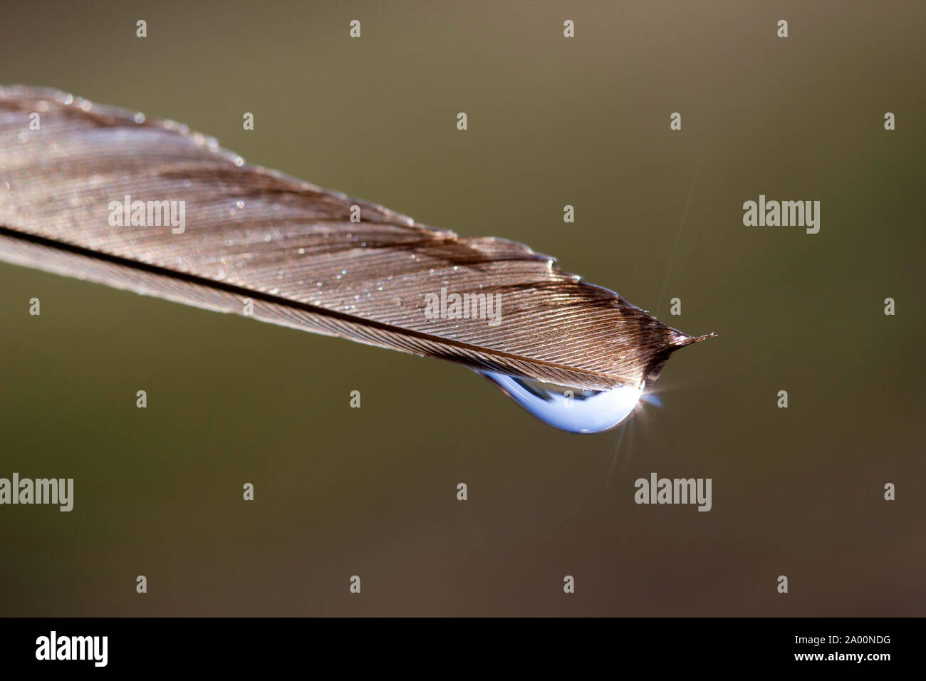 Water flowing down sign hi-res stock photography and images - Alamy
