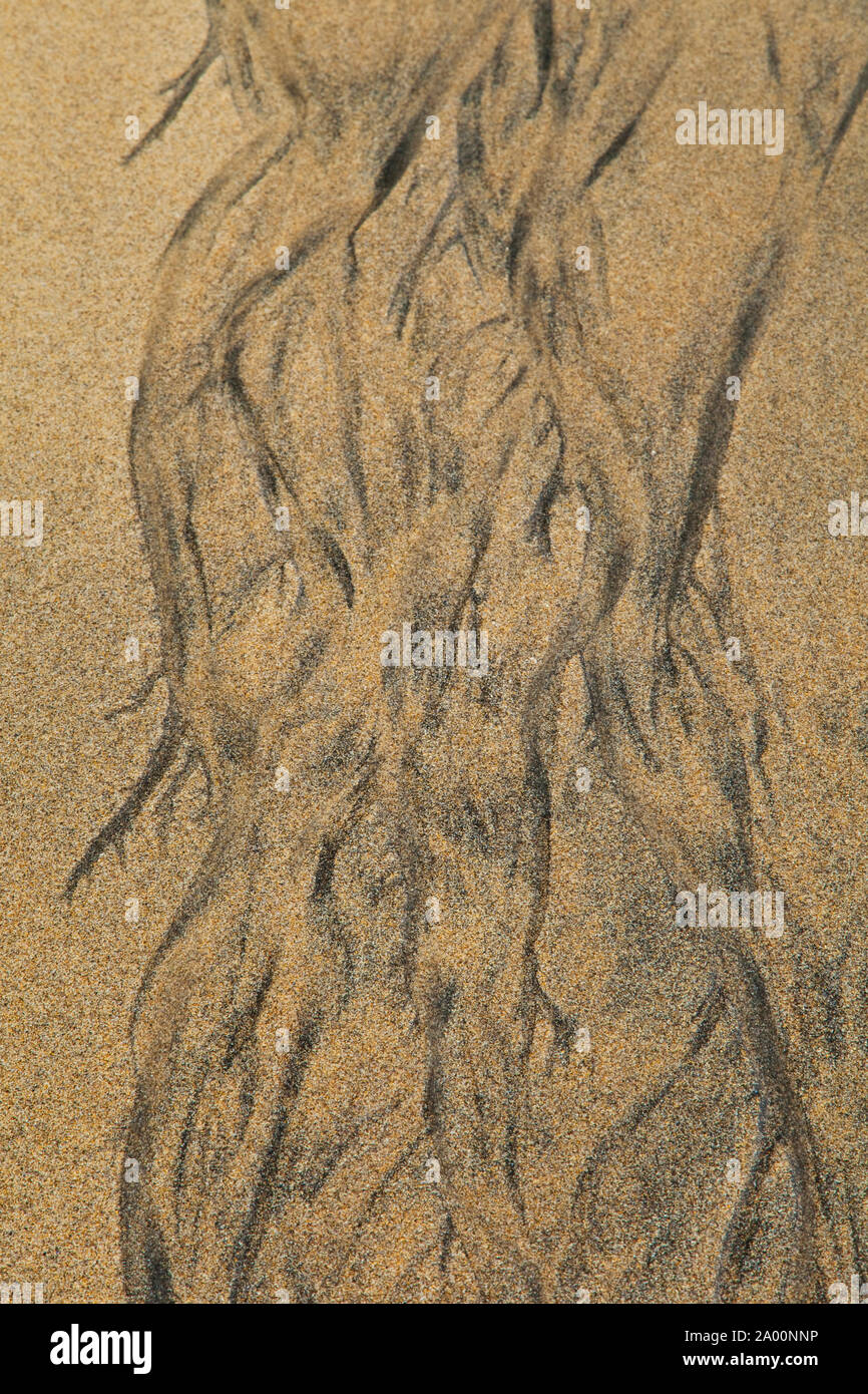 Diseños de arena (Sand Patterns). Playa Dail Beag Beach. Lewis Island ...