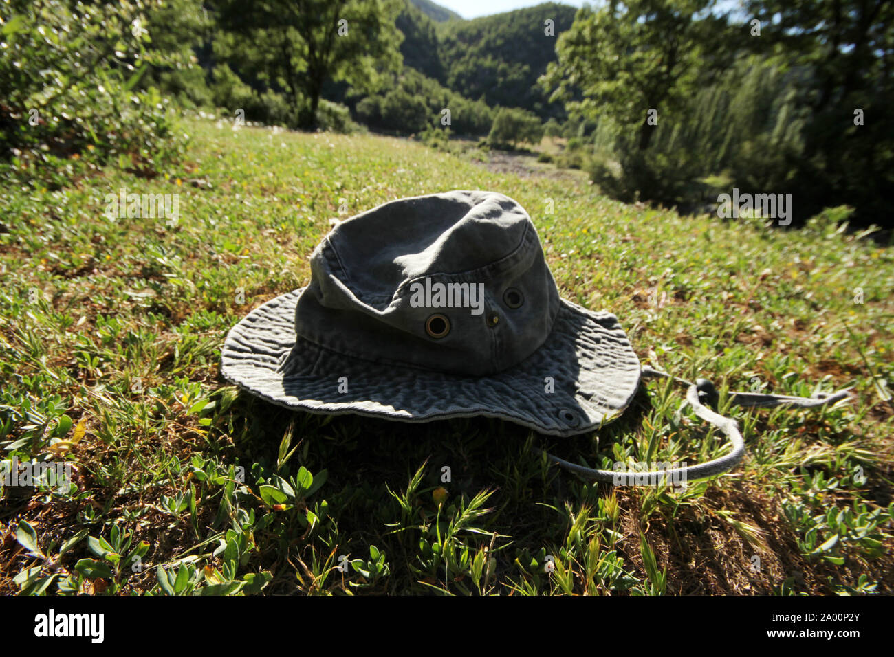 safari hat in beautiful nature Stock Photo - Alamy