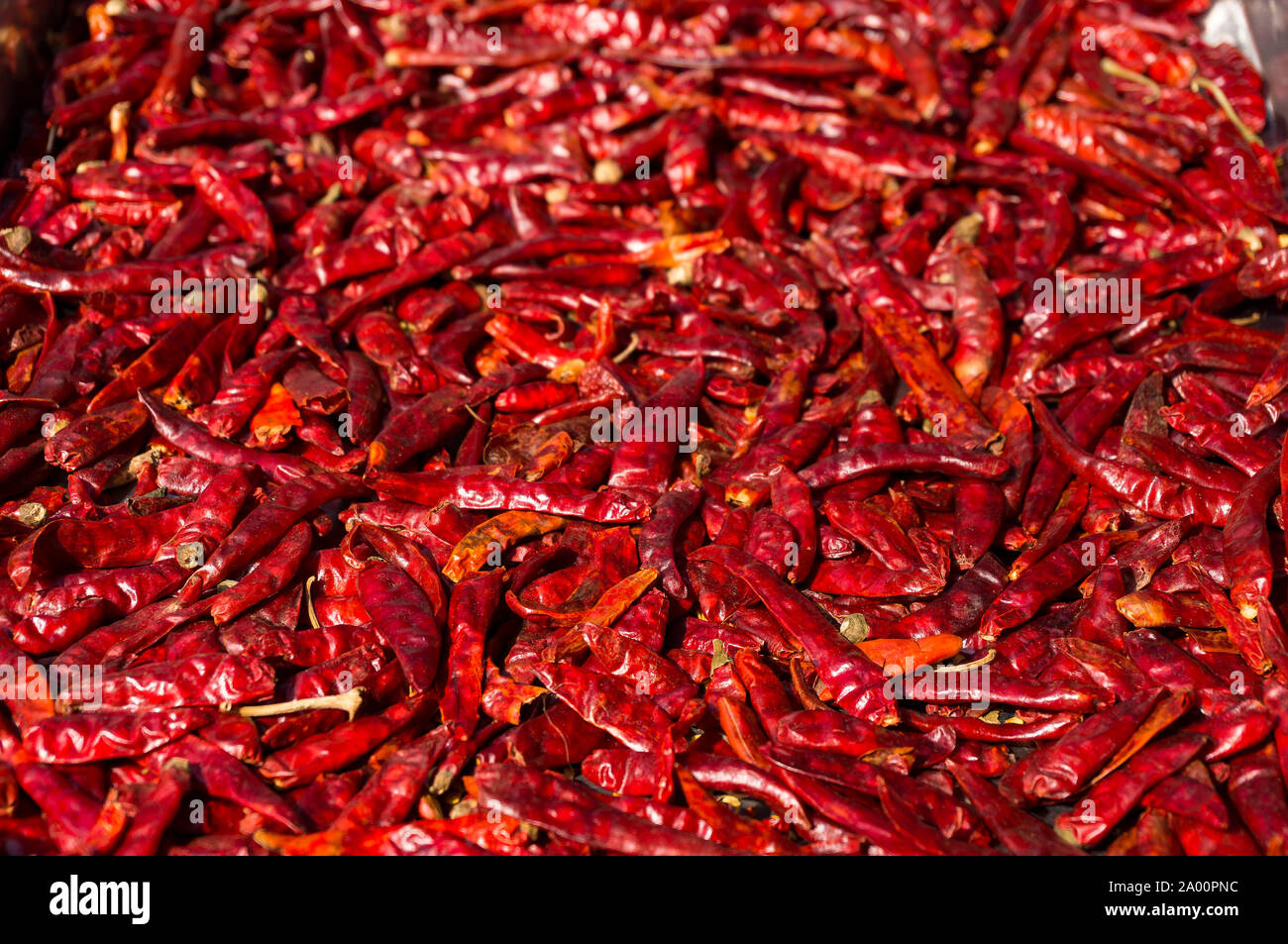 Red dried chilli background. Dry Asian chilli food ingredient texture ...