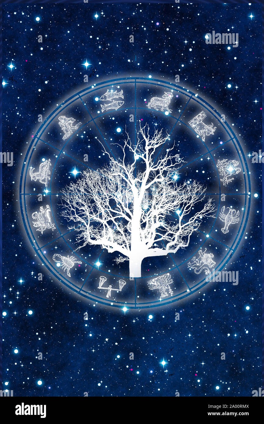 astrology chart with all zodiac signs and tree of life Stock Photo - Alamy