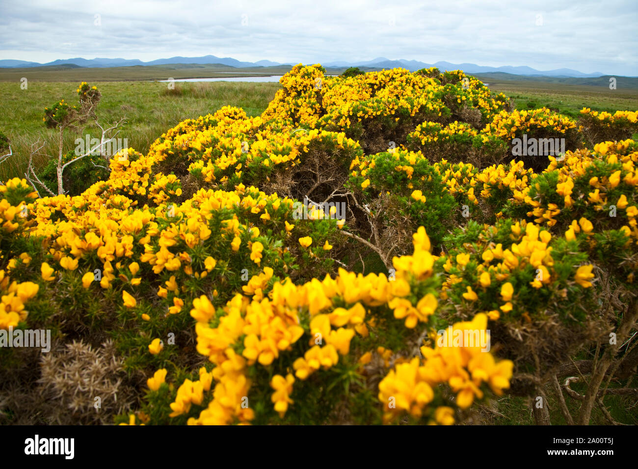 Isla de lewis vista hi-res stock photography and images - Alamy