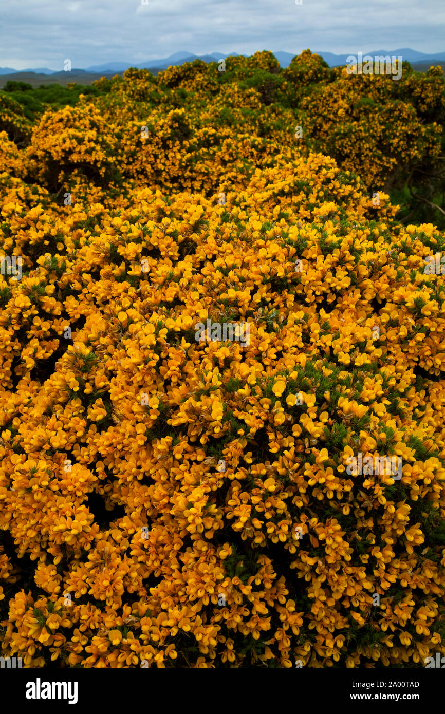 Isla de lewis vista hi-res stock photography and images - Alamy
