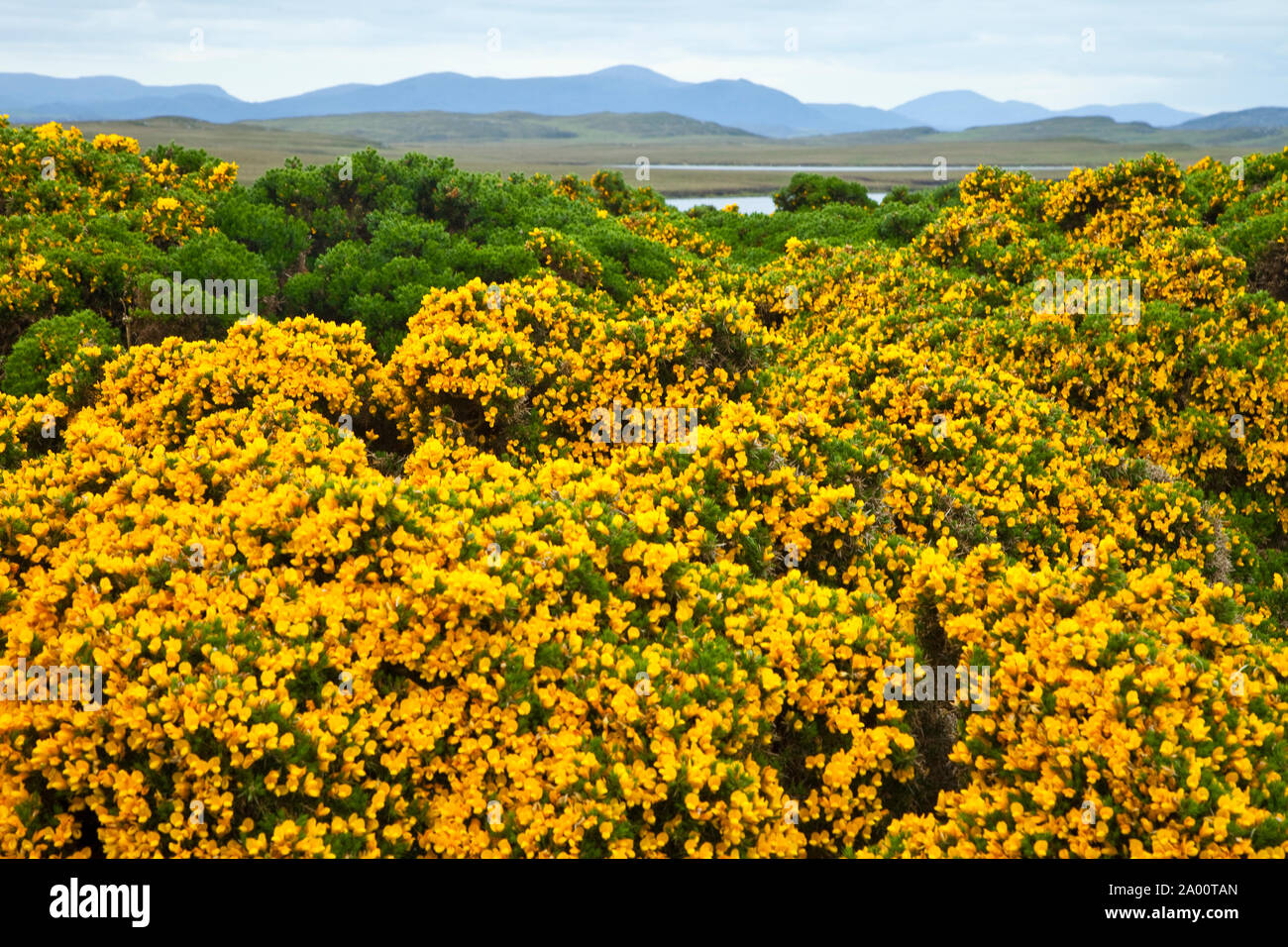 Isla de lewis vista hi-res stock photography and images - Alamy