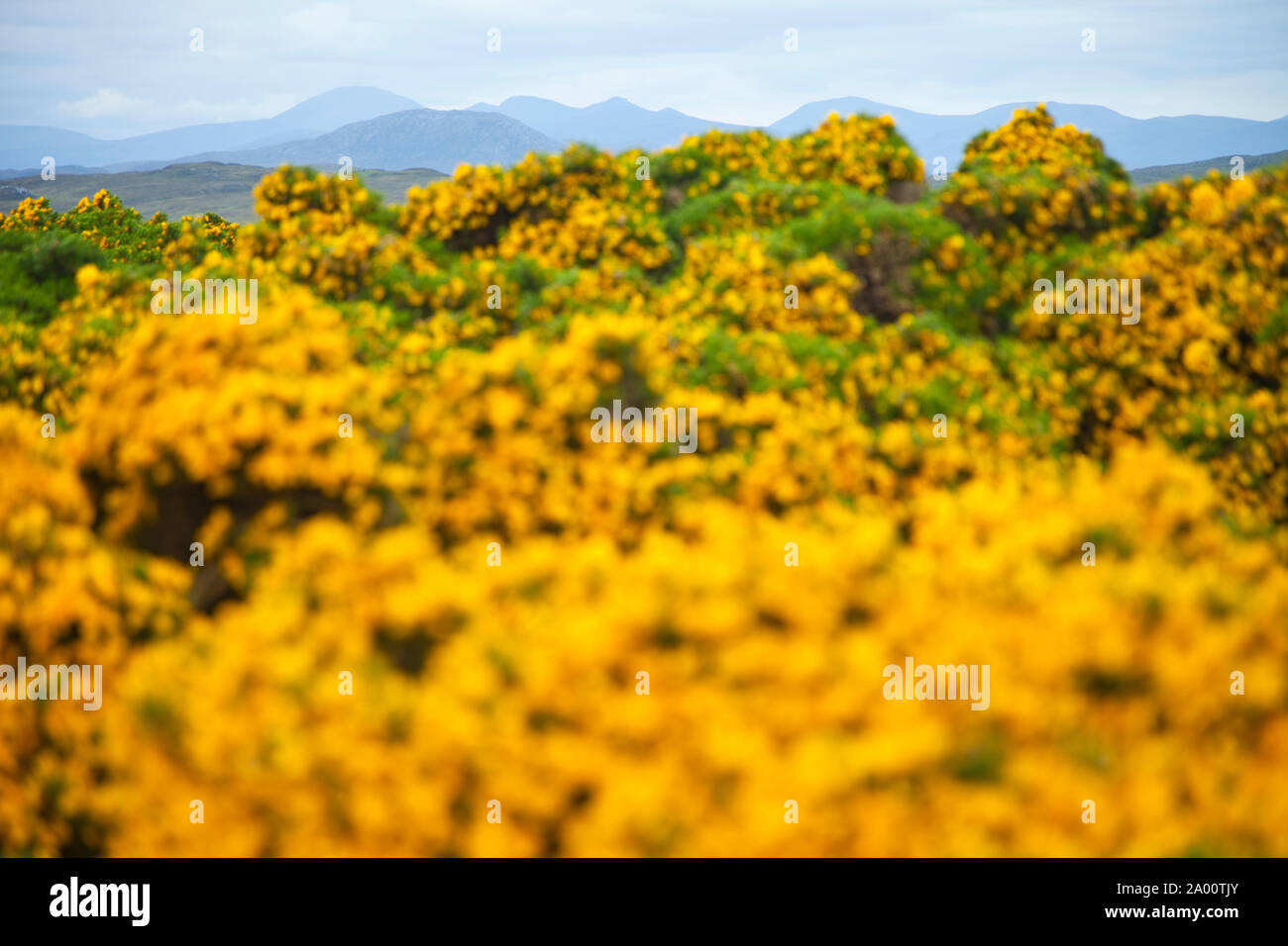 Isla de lewis vista hi-res stock photography and images - Alamy
