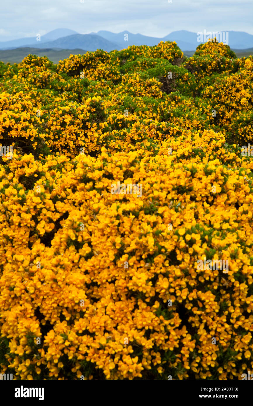 Vista de lewis hi-res stock photography and images - Alamy