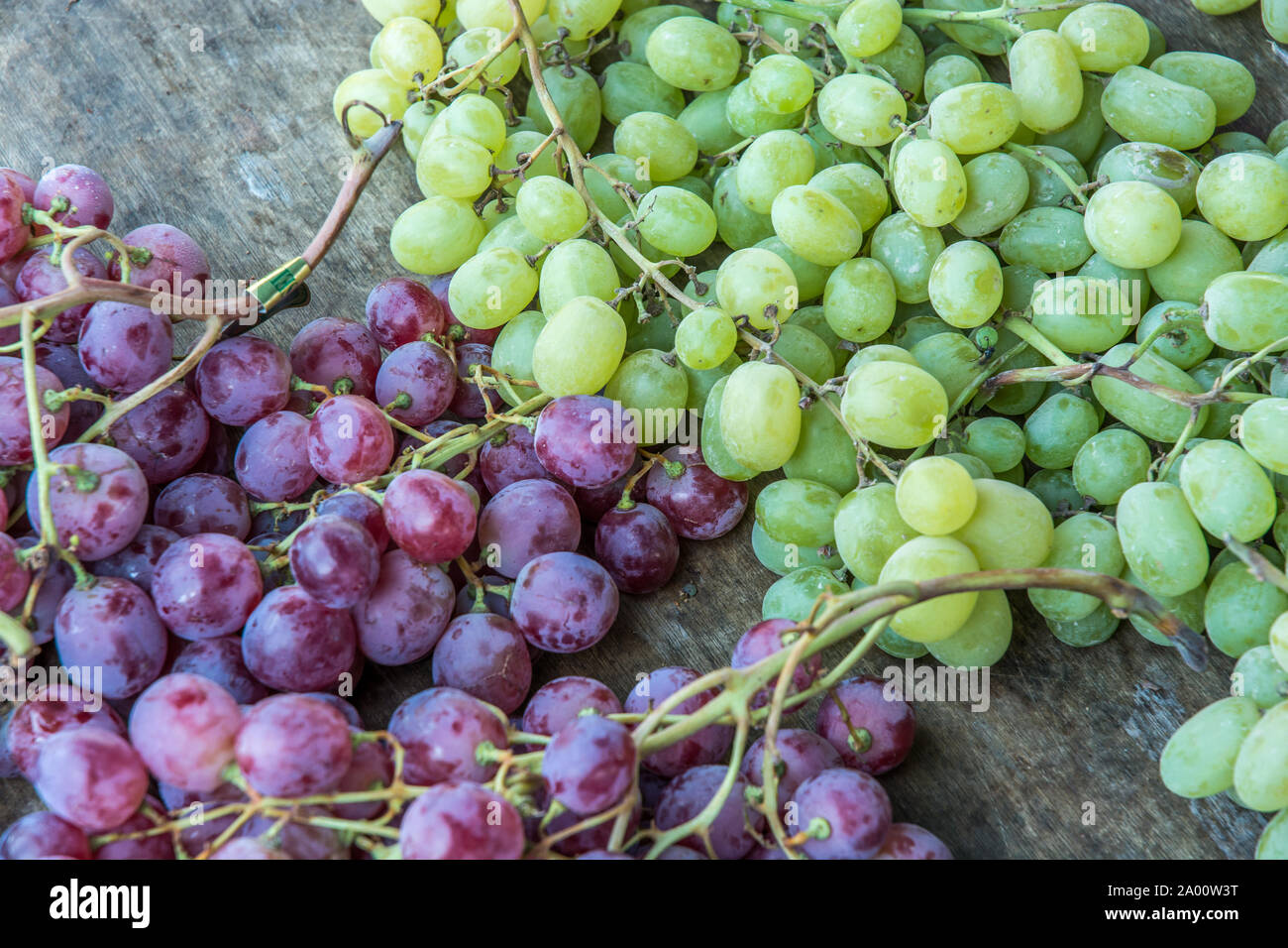 Crop comparison hi-res stock photography and images - Alamy