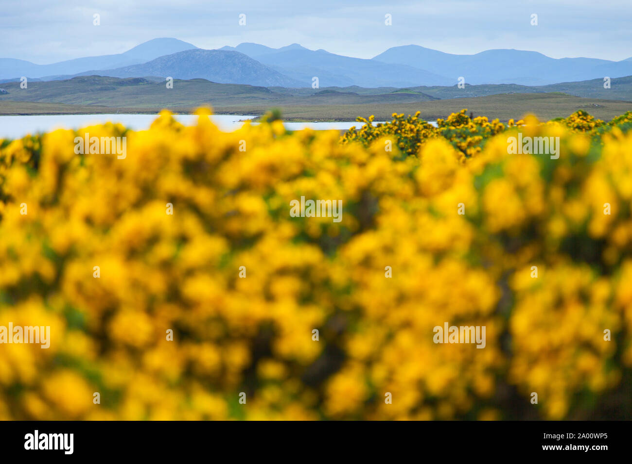 Isla de lewis vista hi-res stock photography and images - Alamy