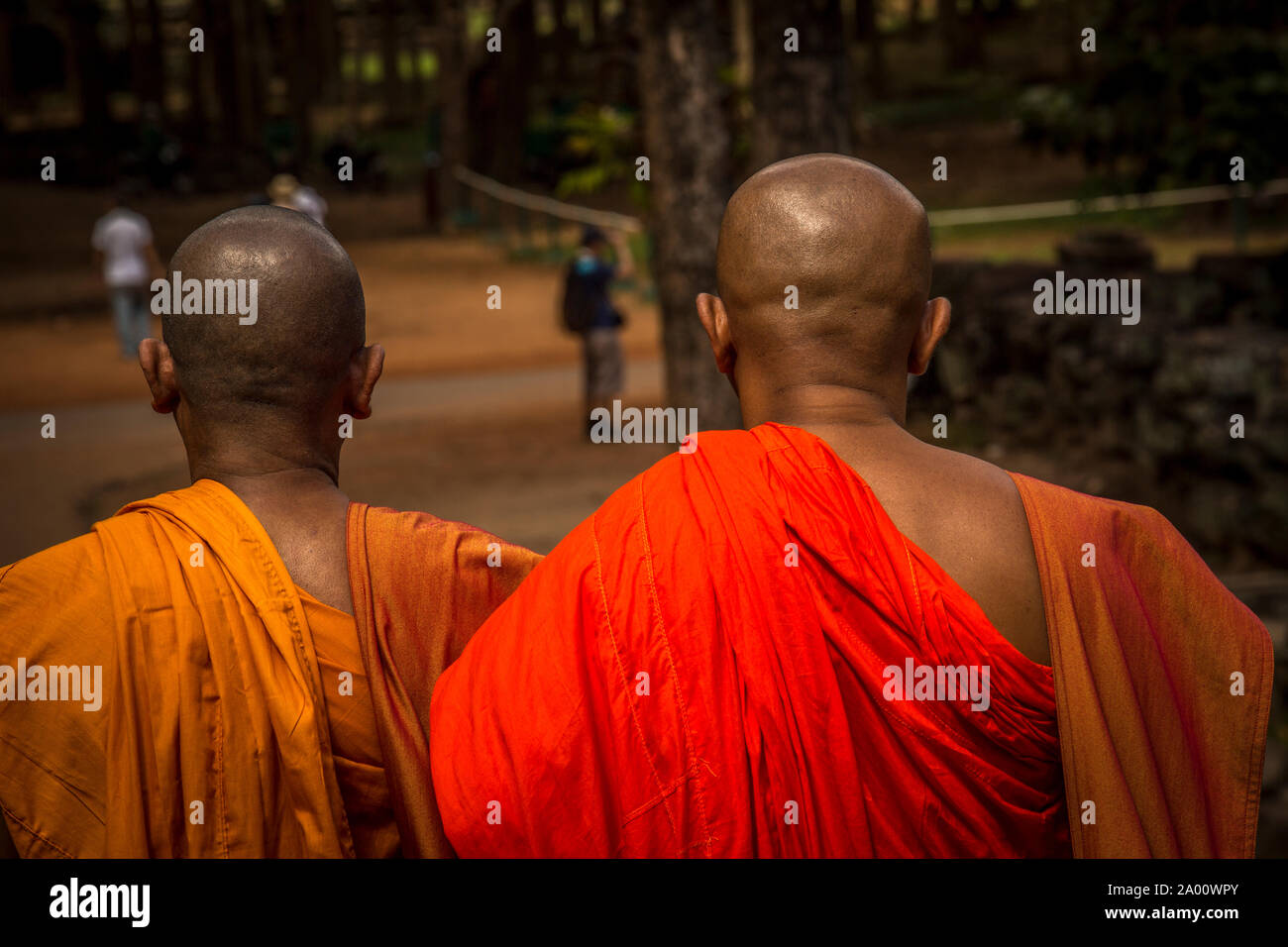 Two monks watching tourists Stock Photo - Alamy