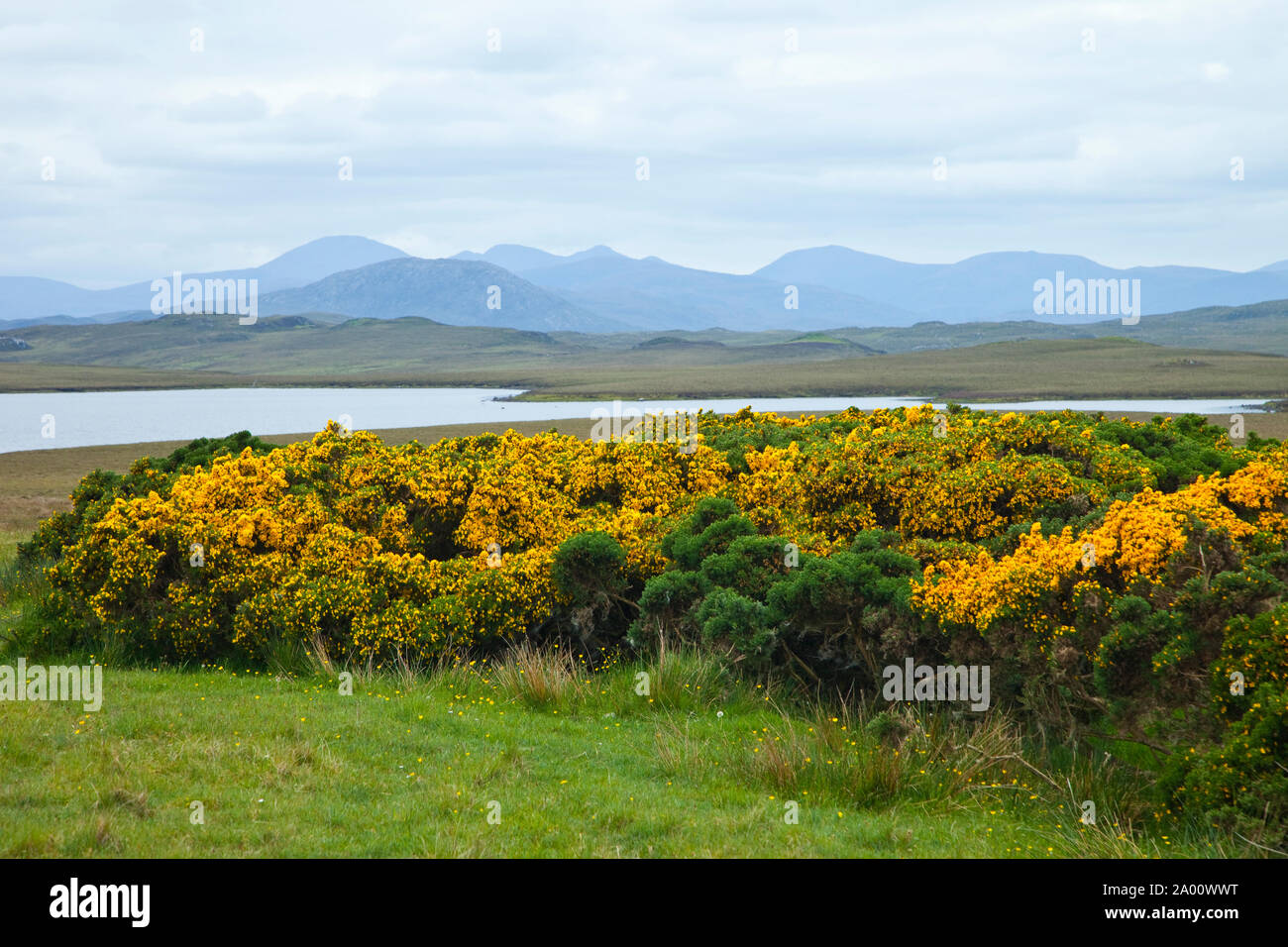 Tojo y vista panorámica de South Lewis y North Harris desde Lochganvich ...
